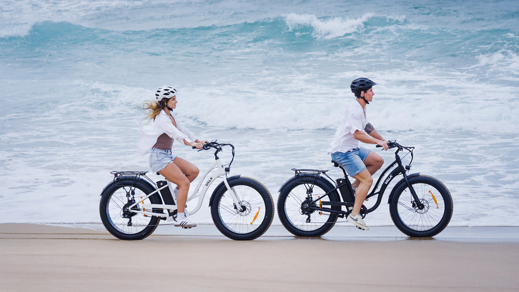 Valk Electric Fat Tyre Cruiser Bike - Matte Black – Valk Ebikes