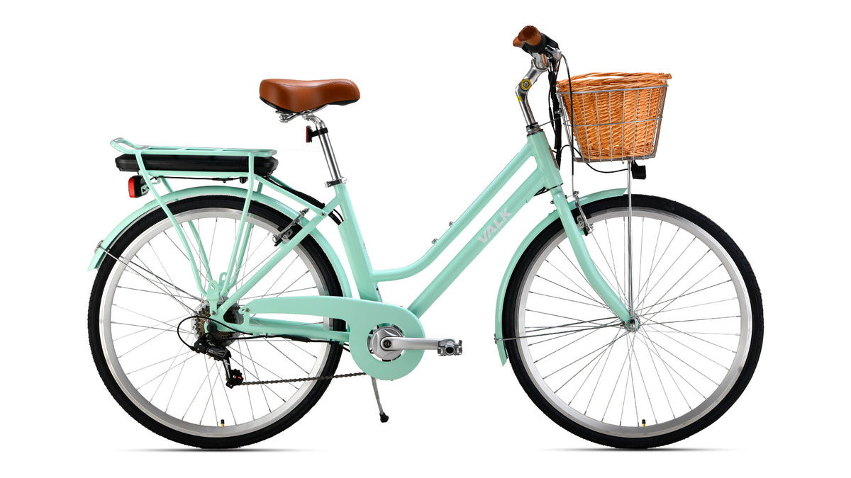 Laneway 5 Vintage - Medium - Mint Green – Valk Ebikes